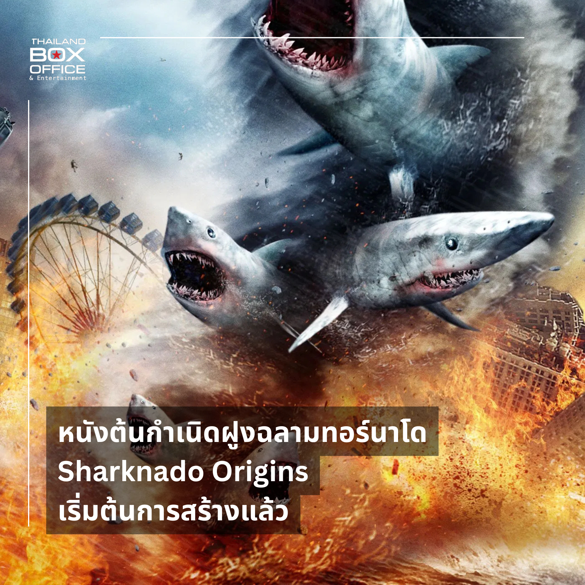 หนังต้นกำเนิดฝูงฉลามทอร์นาโด Sharknado Origins เริ่มต้นการสร้างแล้ว ...
